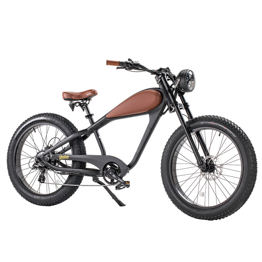 Best 2 Wheel Drive Electric Bikes with Fat Tires – Electric Whispering