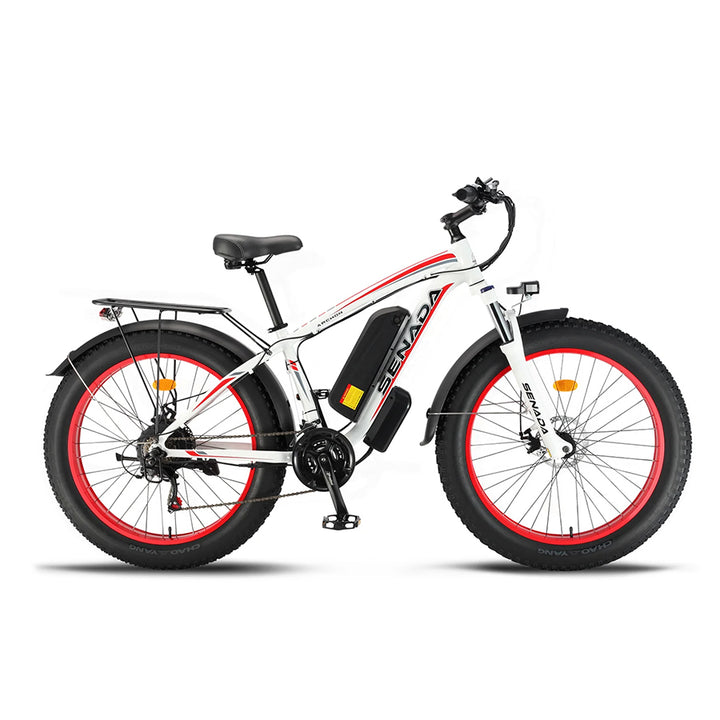 Best 2 Wheel Drive Electric Bikes with Fat Tires – Electric Whispering
