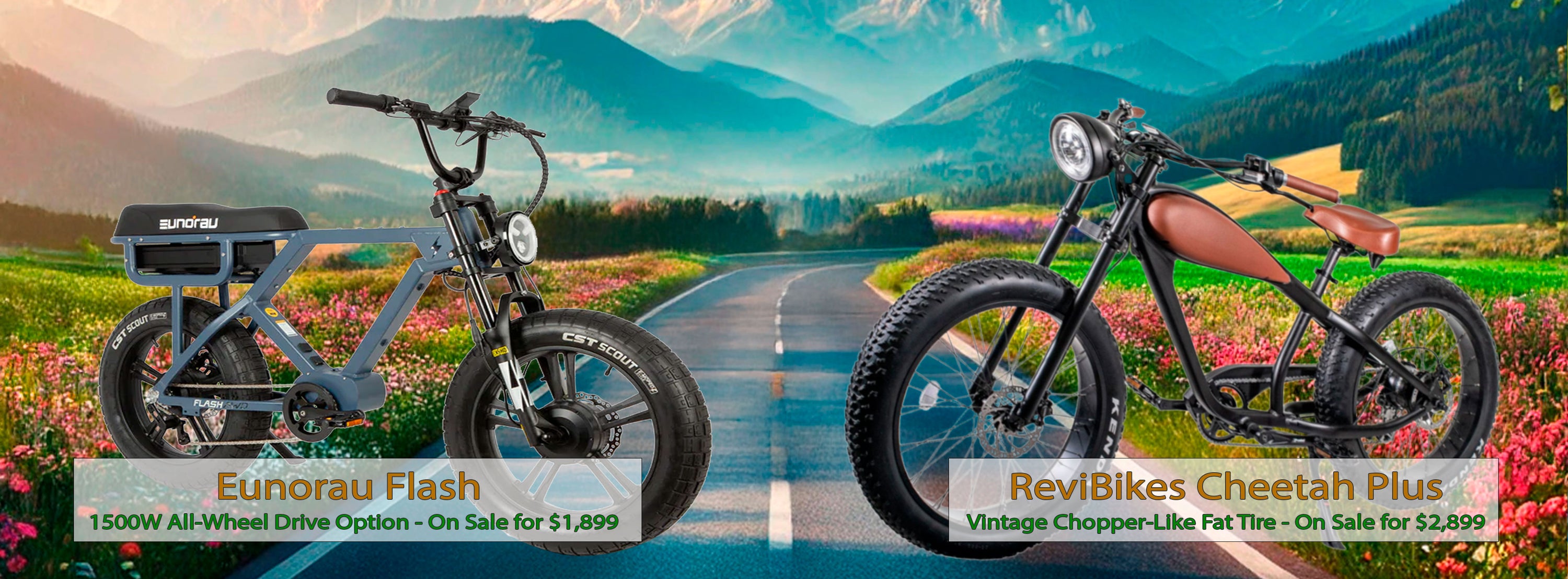 Electric Whispering has Fast E-Bikes & Comfortable Mobility Scooters!