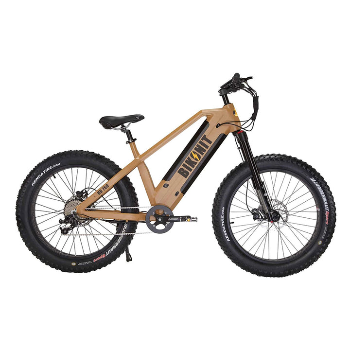 Best 2 Wheel Drive Electric Bikes with Fat Tires – Electric Whispering