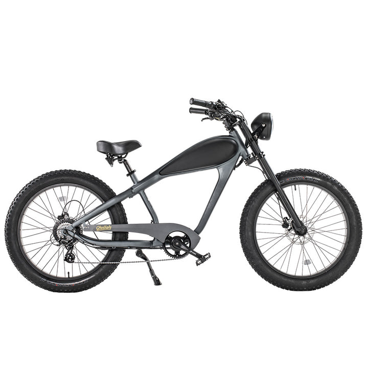 Best 2 Wheel Drive Electric Bikes with Fat Tires – Electric Whispering